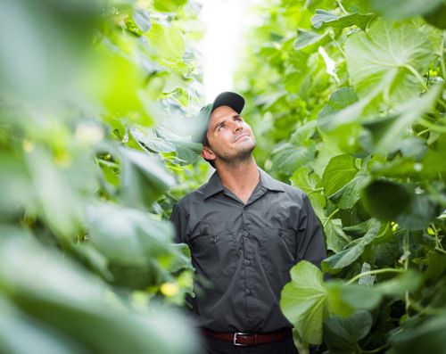 Sensei Farms | Our Story