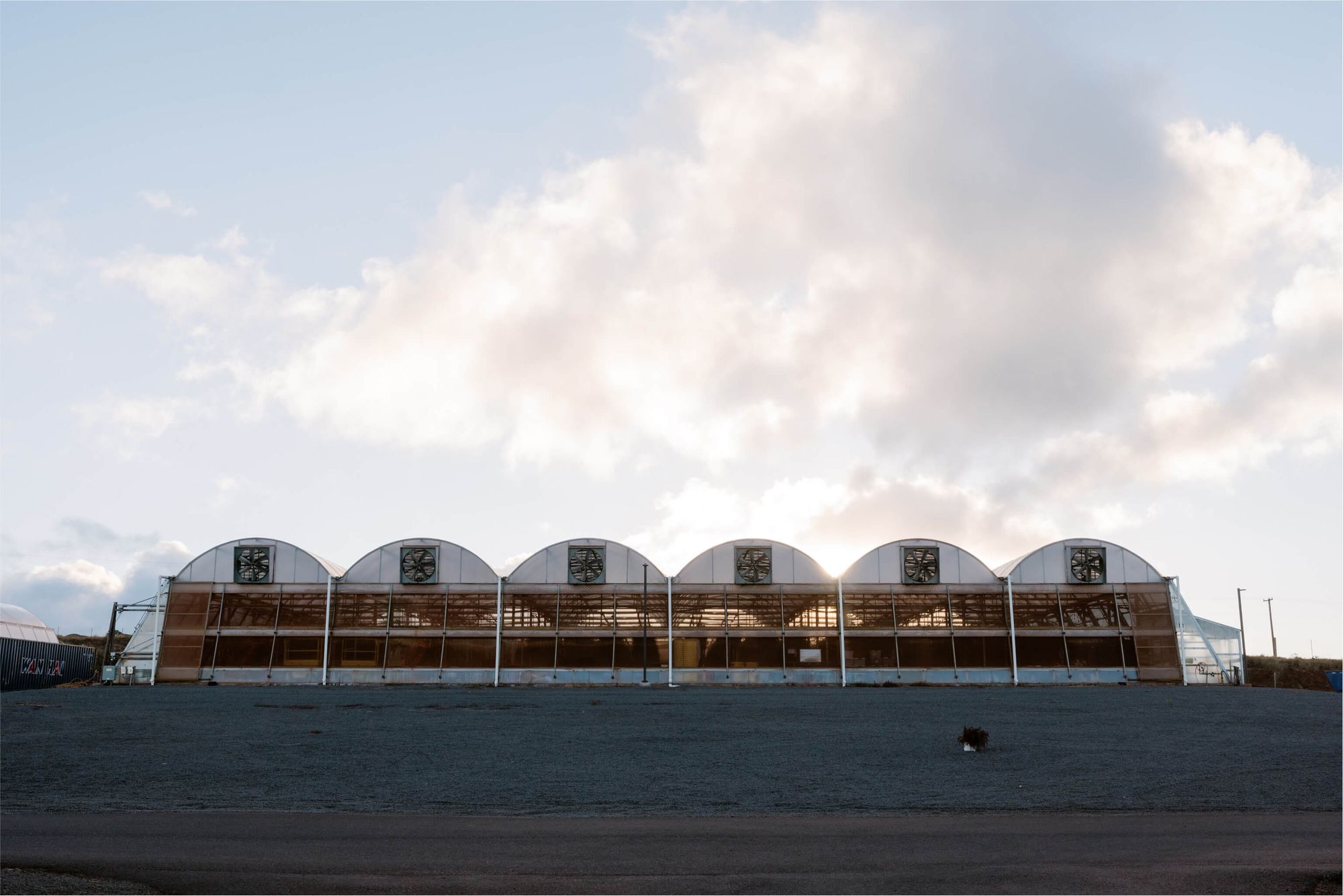 Sensei Farms | Lāna‘i Farm