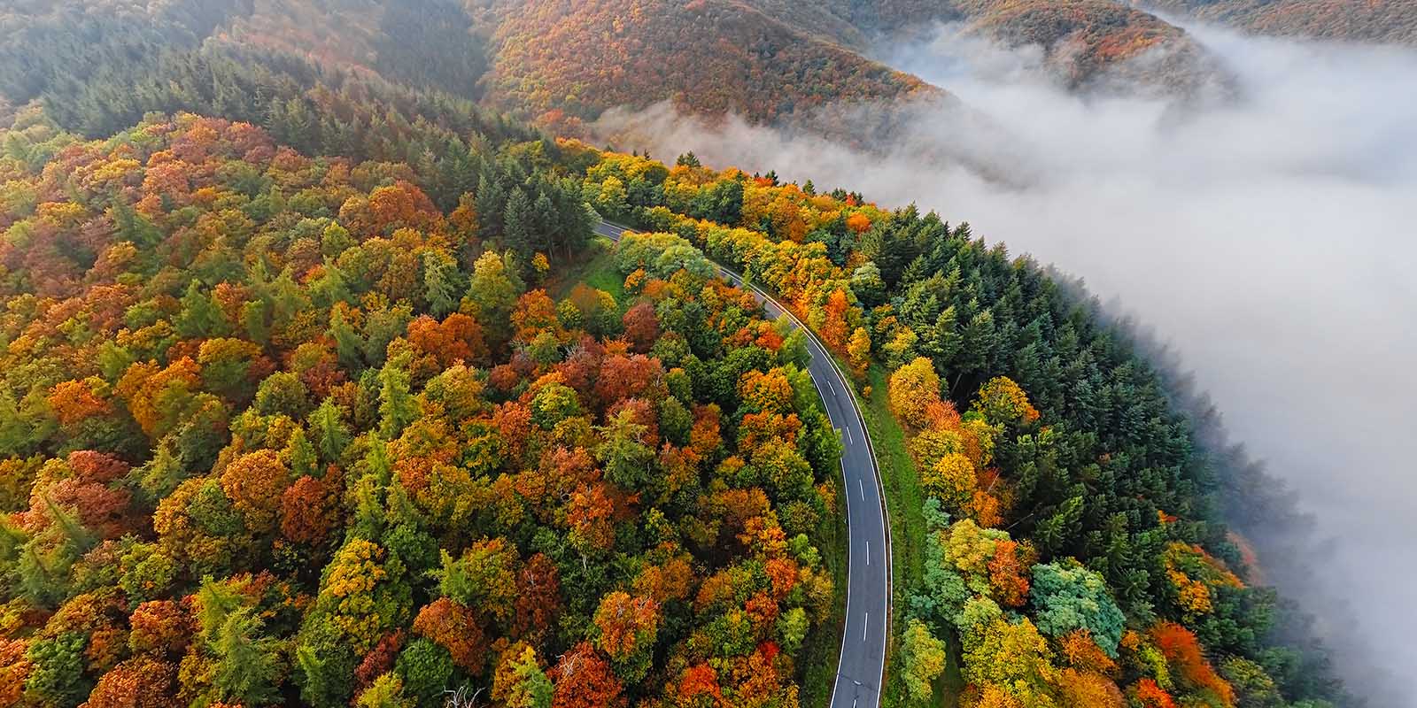 Downing Investor Centre | Thames Ventures VCT 2