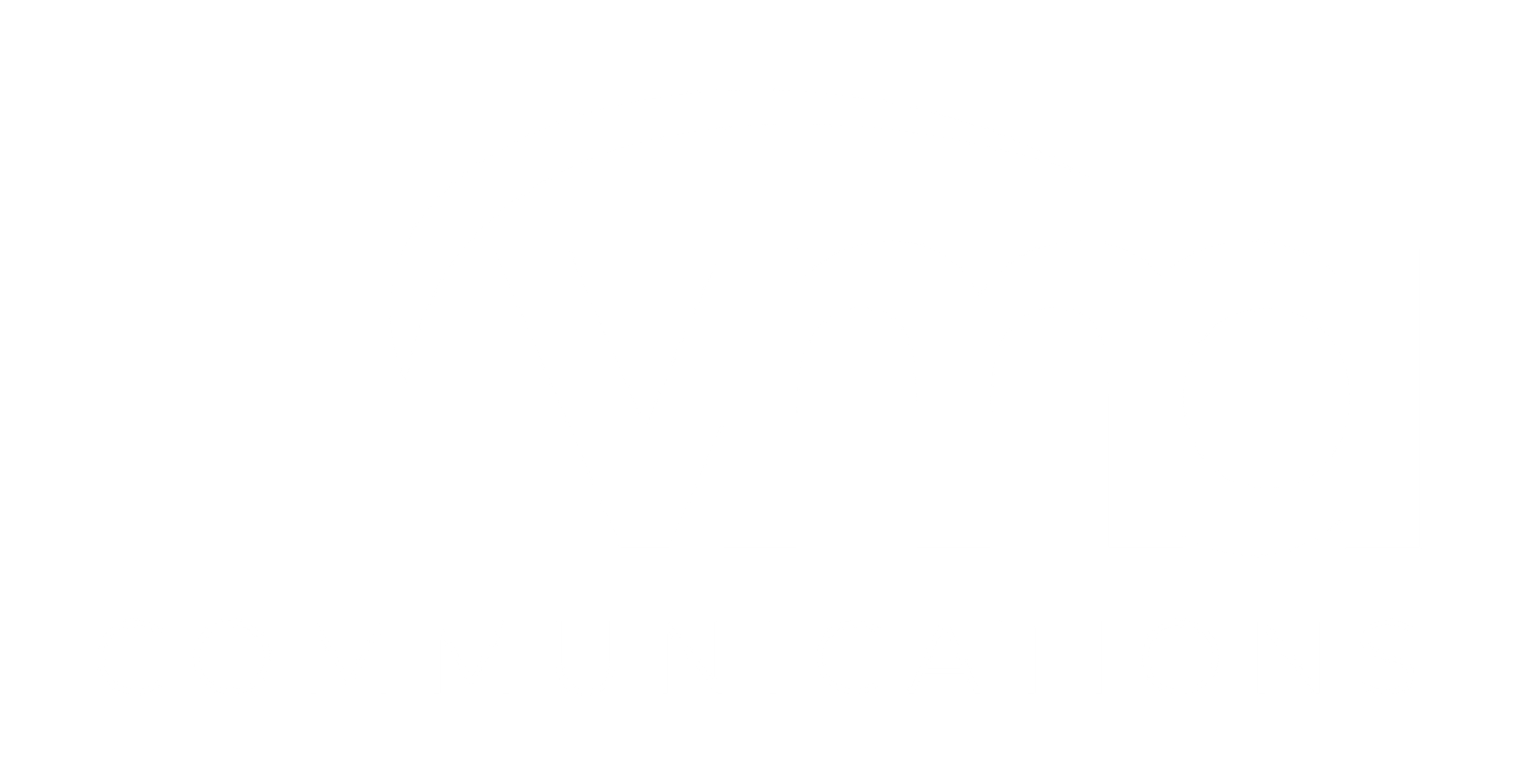 Meet the Team