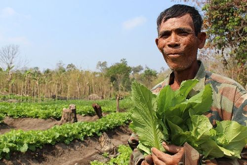 50 years of ELCA World Hunger