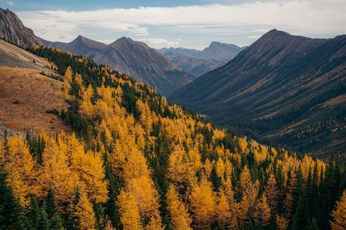 Glamping & Camping in Kananaskis: Your Guide to Sundance by Basecamp ...