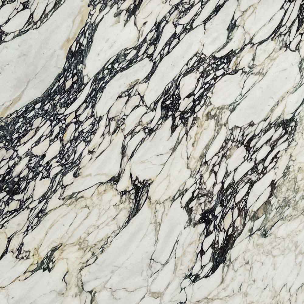 Calacatta VIOLA | Siamtak - Siamtak