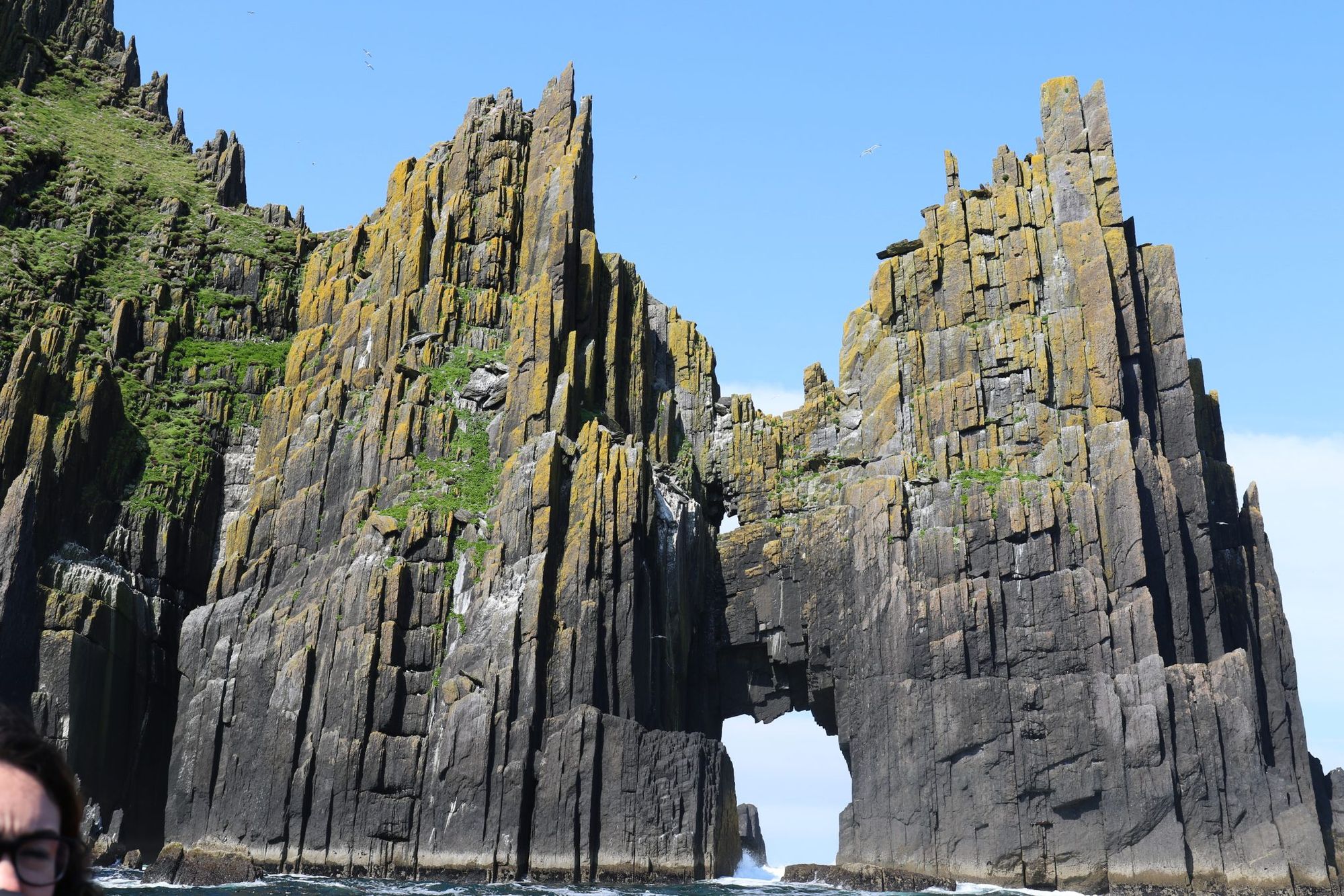 Discover Sea Life on Blasket Islands Tour | Dingle Peninsula, Co. Kerry