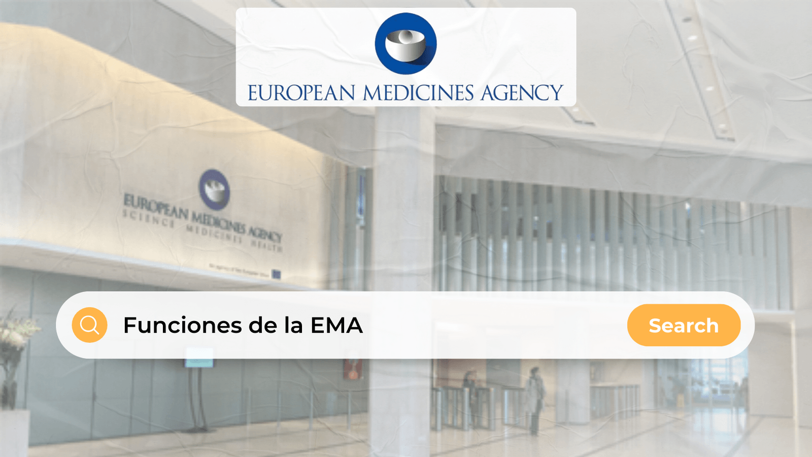 🔸 Agencia Europea de Medicamentos (EMA): ¿Qué funciones tiene?