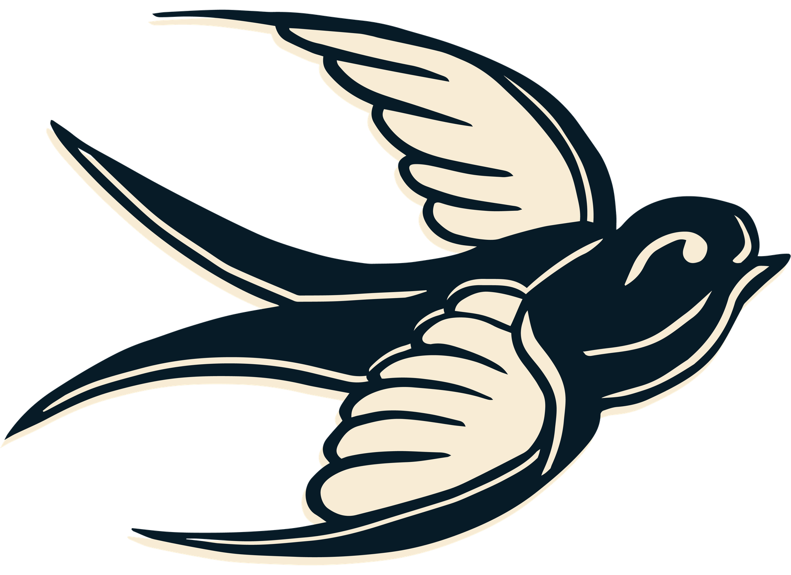 Ulysses Design Co - Brand Identity Design Studio