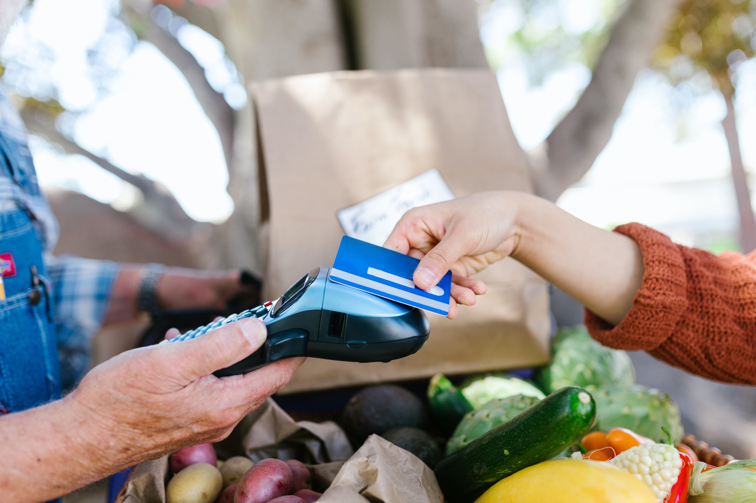 A Comprehensive Guide to Merchant Services Explained | Nadapayments