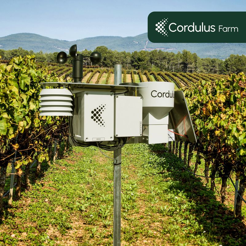 Richtlinien für schlechtes Wetter im Baugewerbe - eine vollständige ...