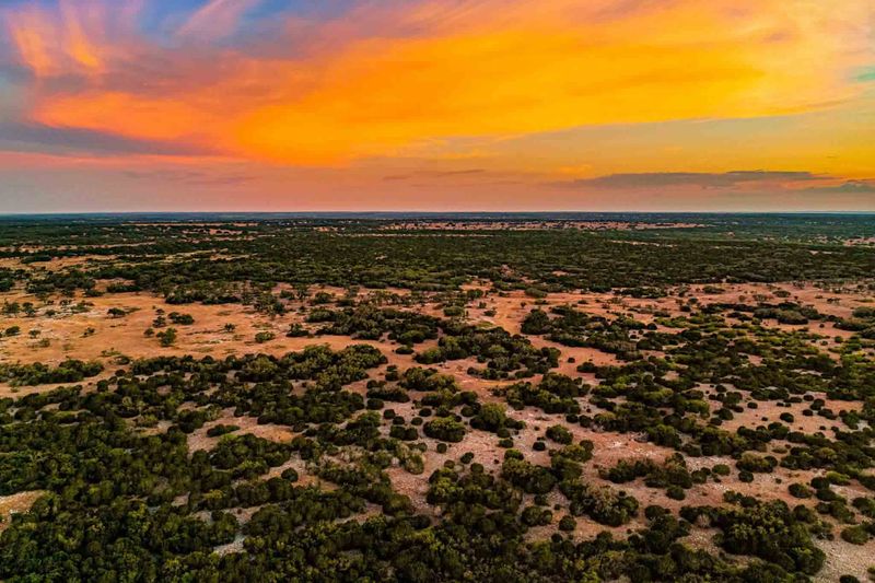 Hunting Ranches for Sale | Texas Ranches For Sale