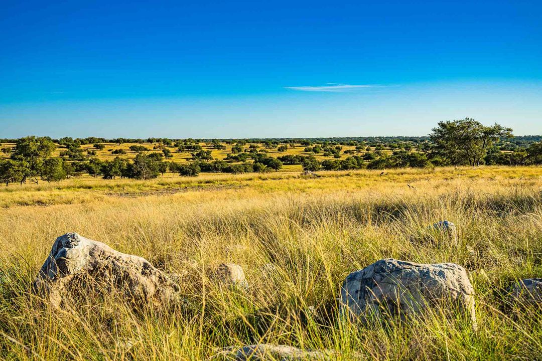 Hunting Ranches for Sale | Texas Ranches For Sale