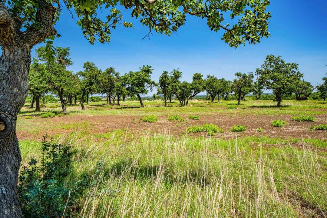 Hill Country Ranches For Sale | Texas Ranches For Sale