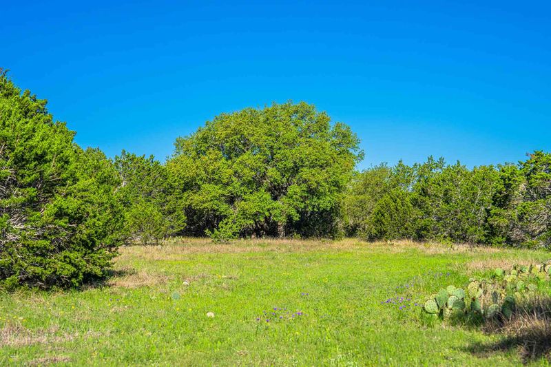 Selling Quality Ranches Throughout Texas | Texas Ranches For Sale