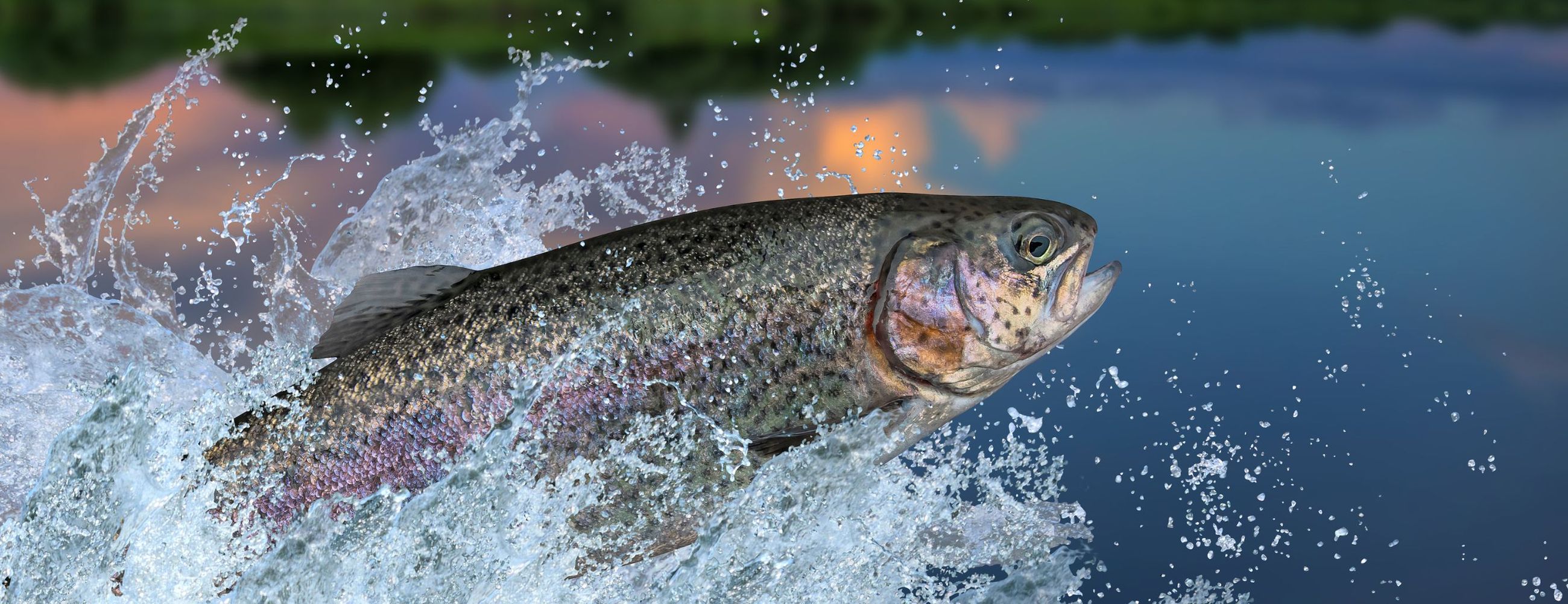 Trails to Trout’ Brings Fishing to Tyler’s Nature Center | Articles ...