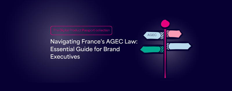 Navigating France's AGEC Law: Essential Guide for Brand Executives