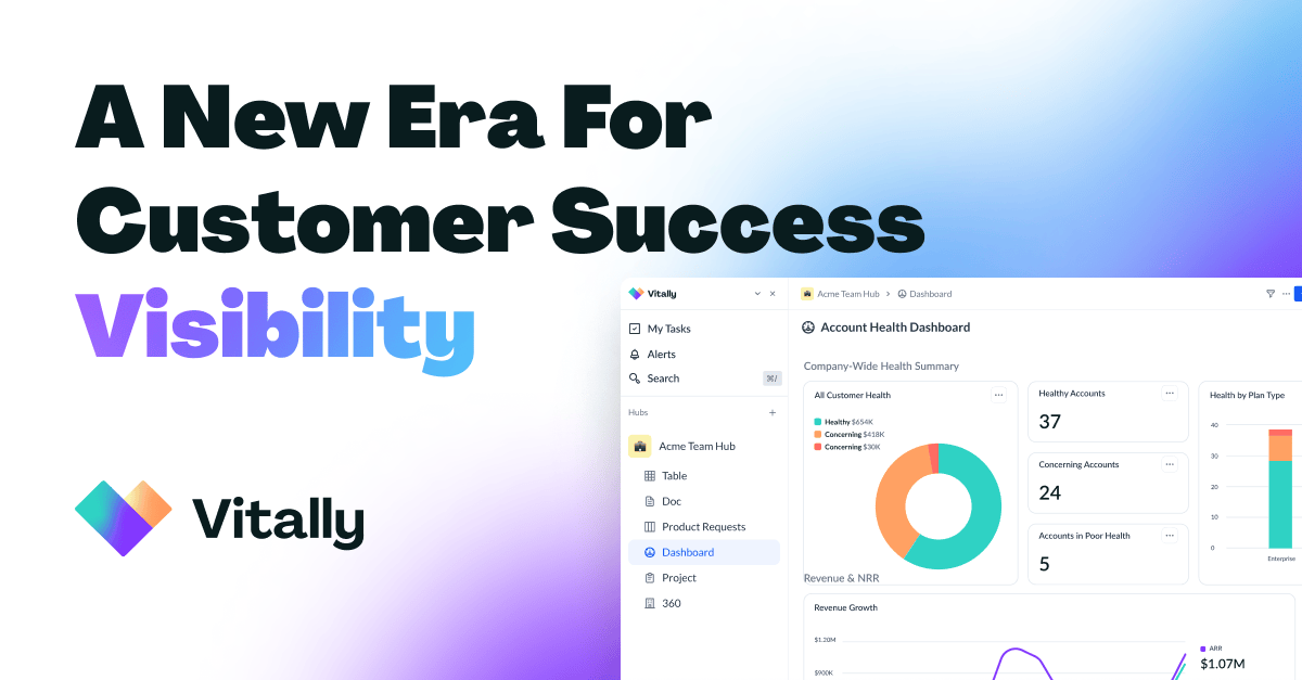 Customer Success Visibility | Vitally