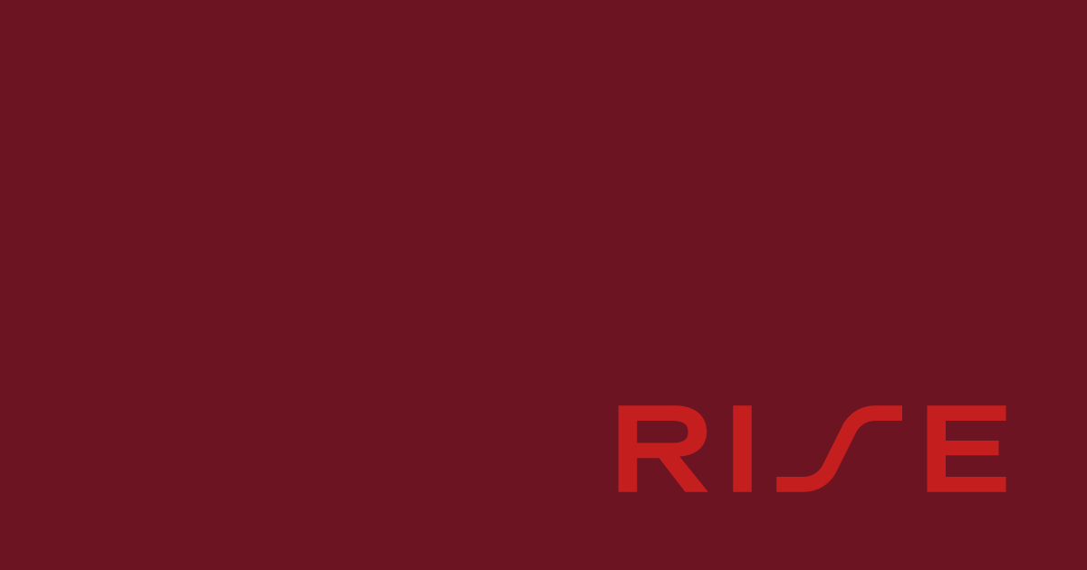 Rise Performance Group | Scaling Up Executive Coaching