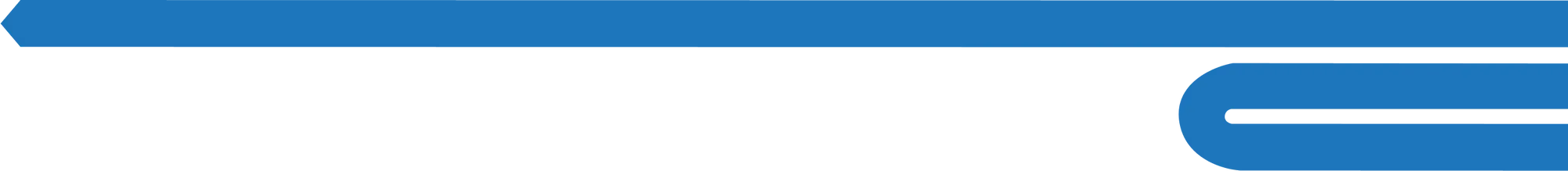 Italy 2025 EU Blue Card: Requirements, Process & Timeline