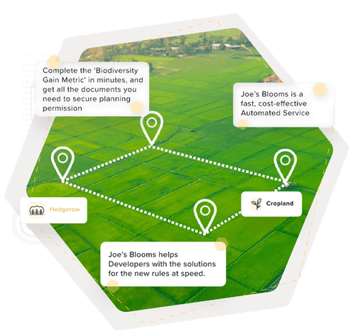 BNG Tool - Biodiversity Net Gain Calculator - Joe’s Blooms
