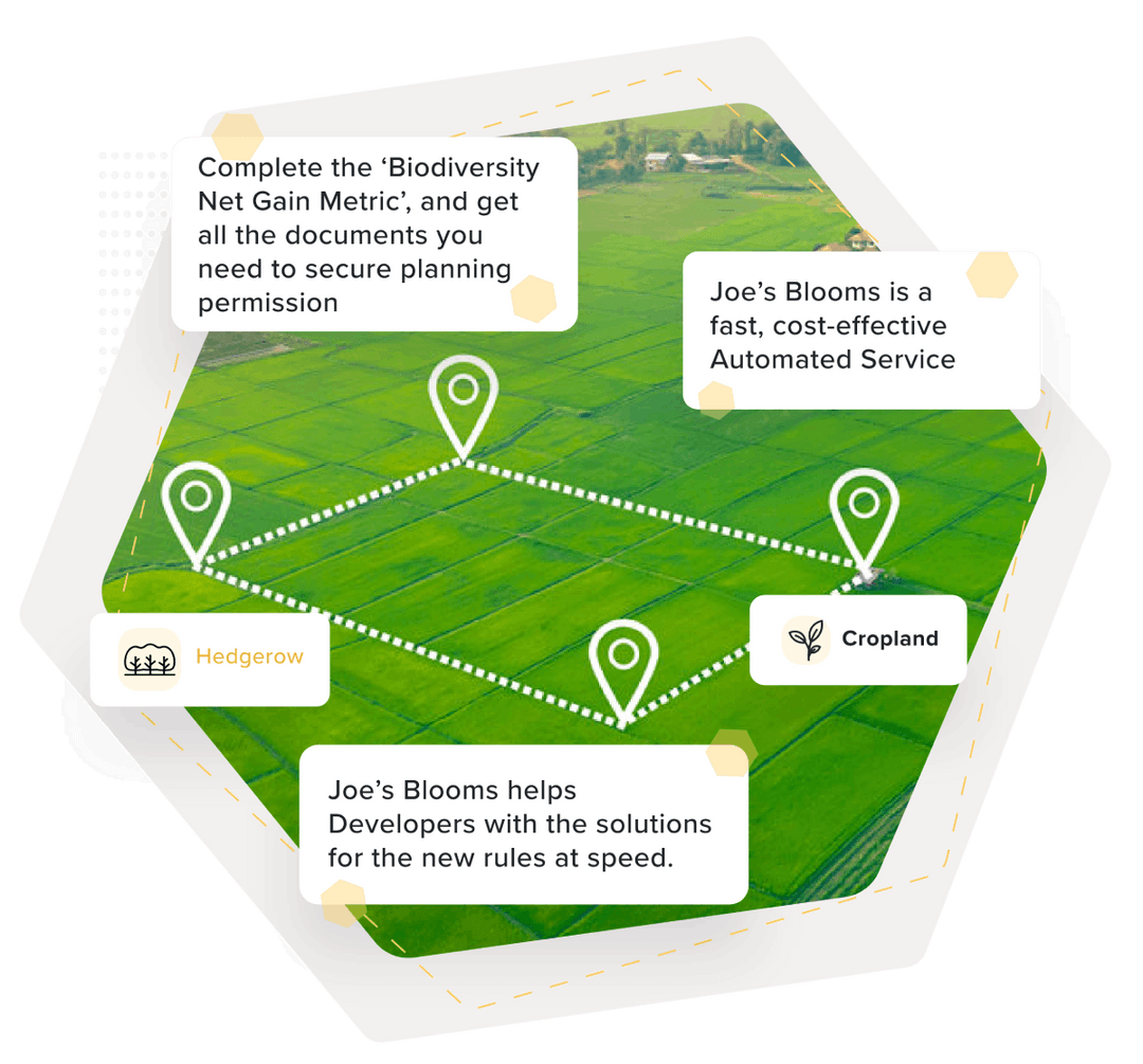 BNG Tool - Biodiversity Net Gain Calculator - Joe’s Blooms