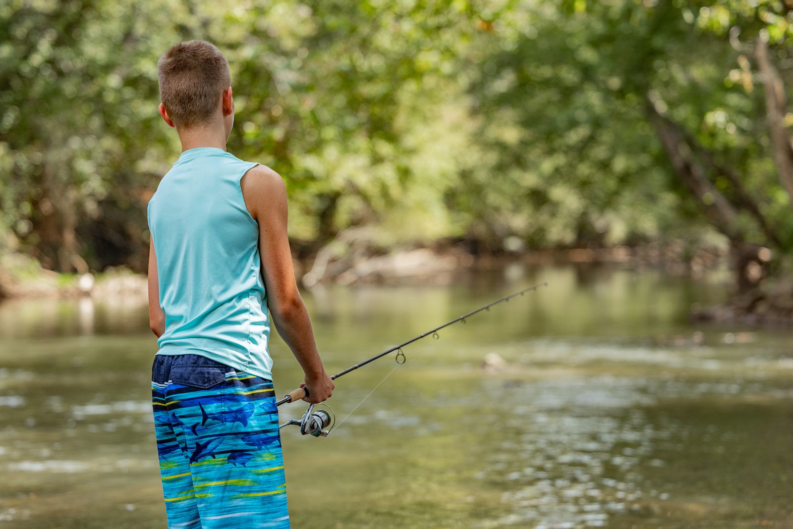 Prime River Ridge Farms TN Land from The Woodland Group