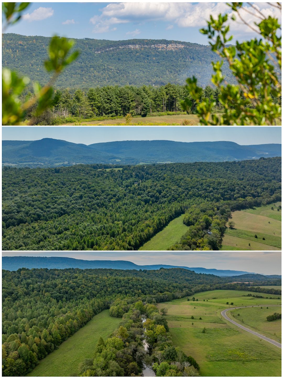 Prime River Ridge Farms TN Land from The Woodland Group