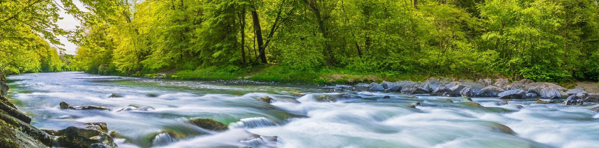 Prime River Ridge Farms TN Land from The Woodland Group