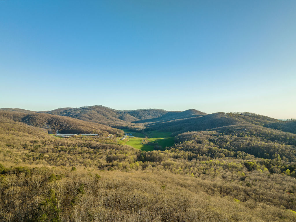 Bears Paw Blue Ridge GA Properties at The Woodland Group
