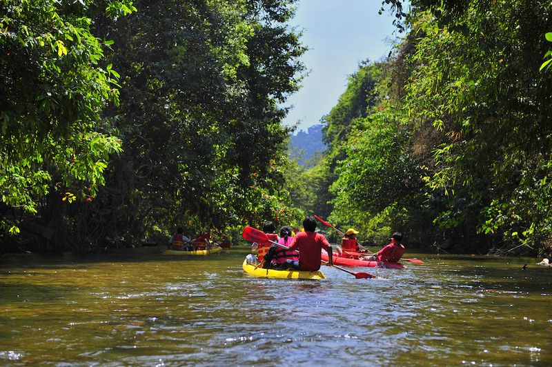 Prime River Ridge Farms TN Land from The Woodland Group