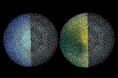 Light Sheet Microscopy: What Is It & How Does It Work?