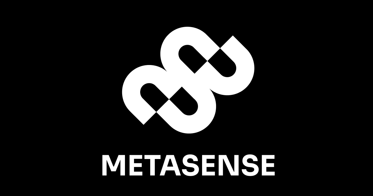 Innovation Strategy & IT Solutions Partner - Metasense