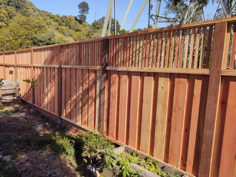 18 Strong Fence Ideas: Finding the Most Durable Fencing