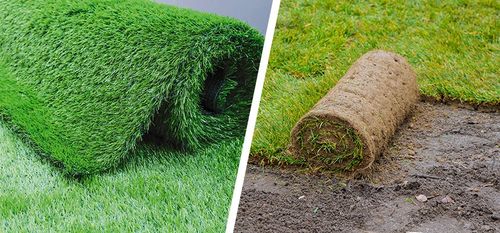 Artificial Grass Articles, Guides & Tips | Ergeon