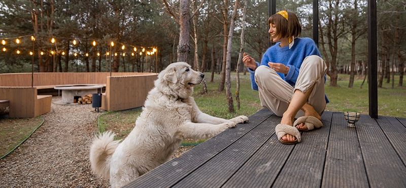 Design Inspiration for your Deck Railing Project