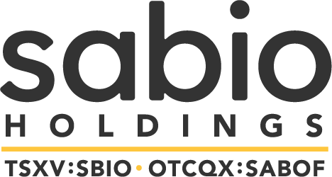 Sabio Holdings: Connected TV Ad Solutions