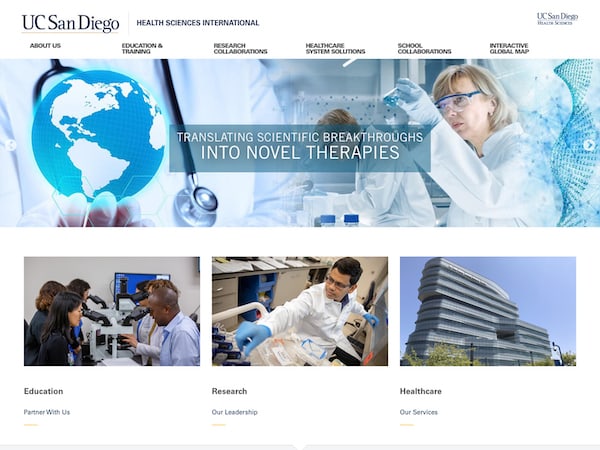 Seattle Web Design | Dog and Rooster