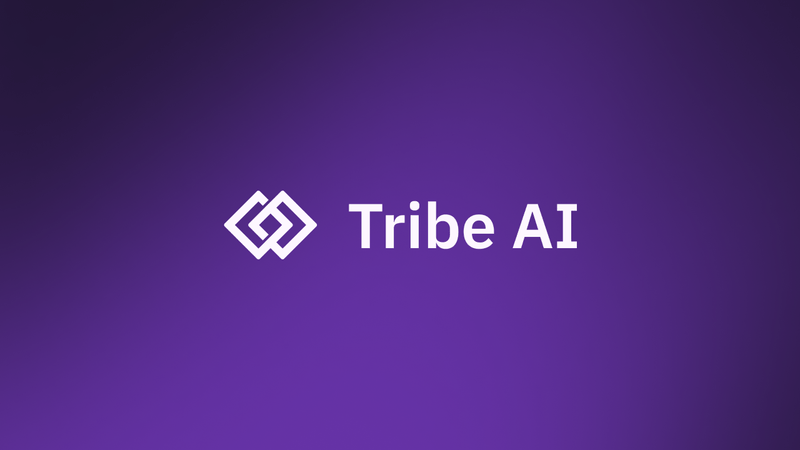 Official OpenAI Services Partner | Tribe AI