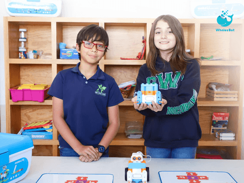 WhalesBot | Build Your First Robot: A Beginner's Guide to Robotics ...