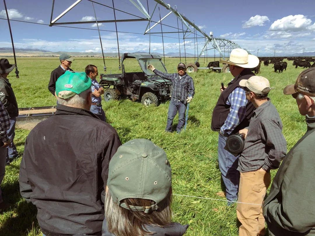 Matador Ranch & Cattle | Where Nature & Agriculture Thrive