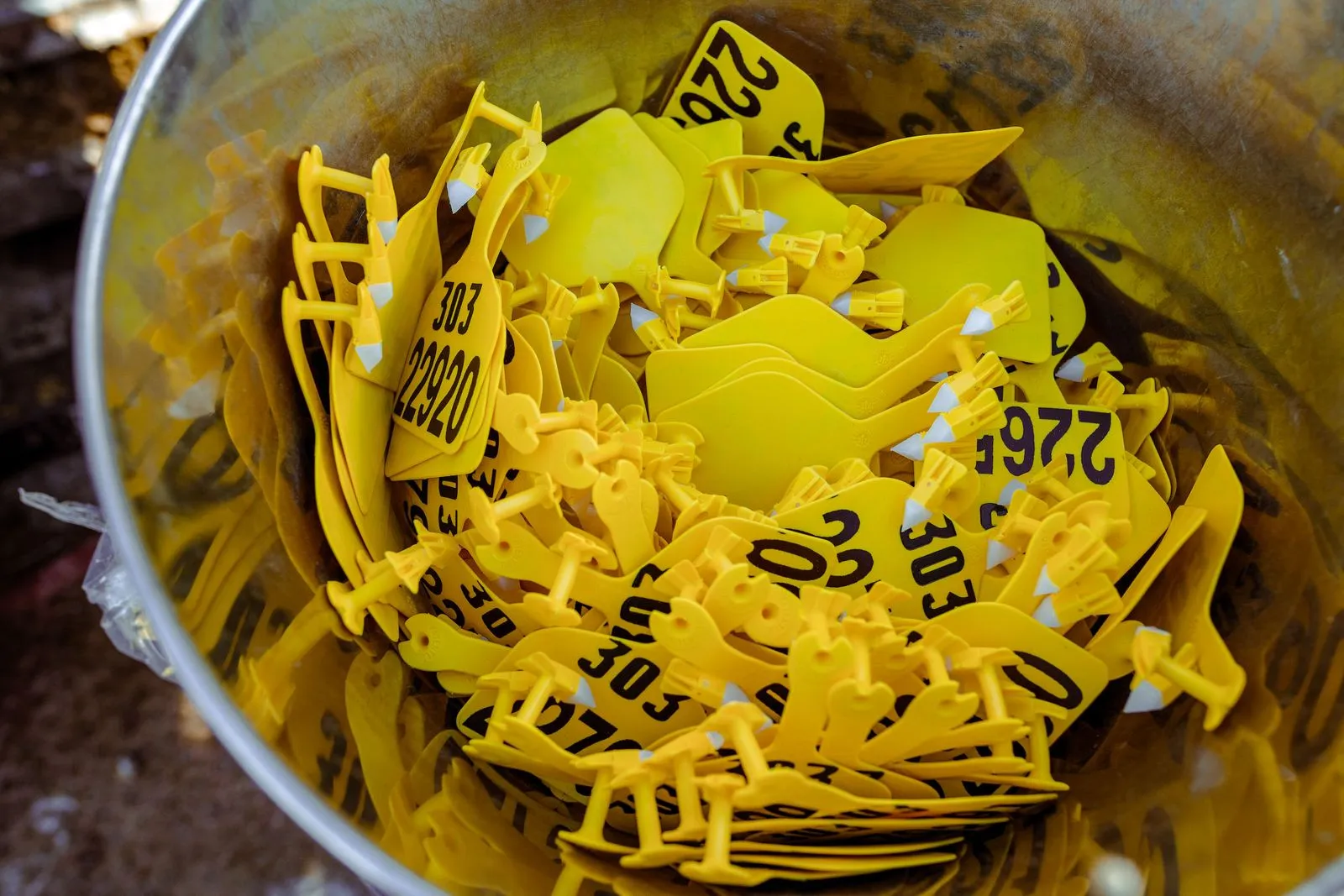 Matador Ranch & Cattle | Where Nature & Agriculture Thrive