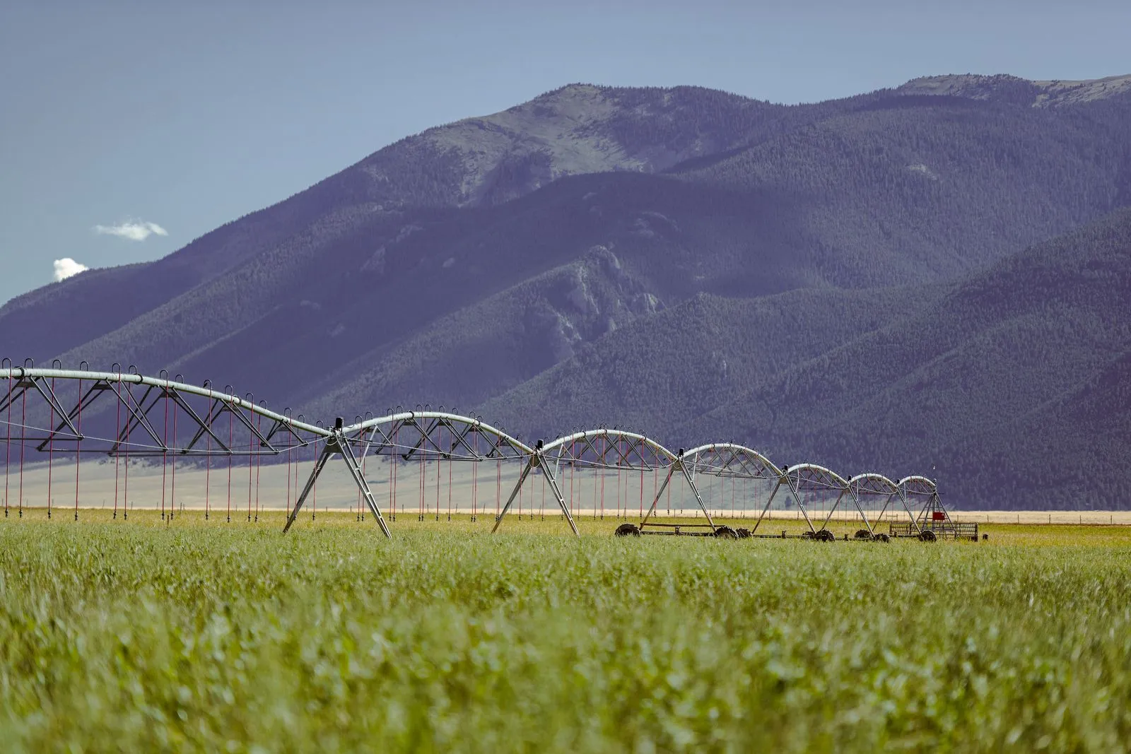 Matador Ranch & Cattle | Where Nature & Agriculture Thrive