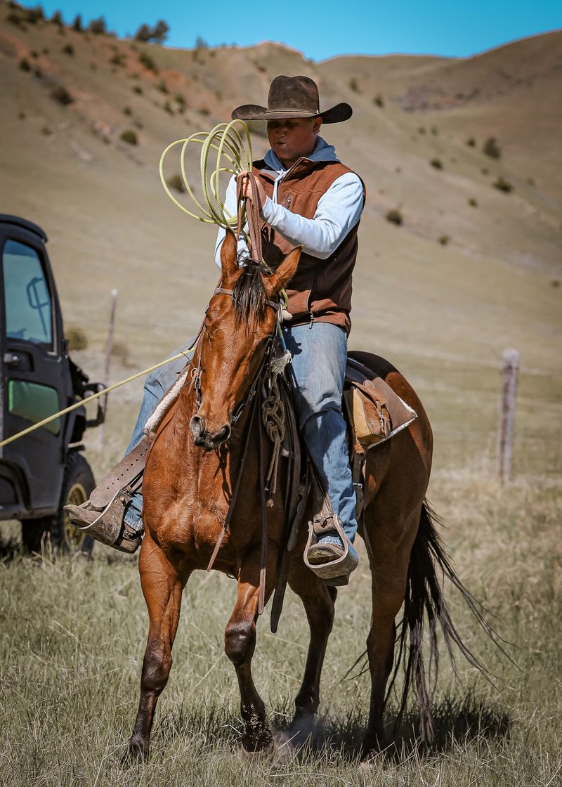 Matador Ranch & Cattle | Where Nature & Agriculture Thrive