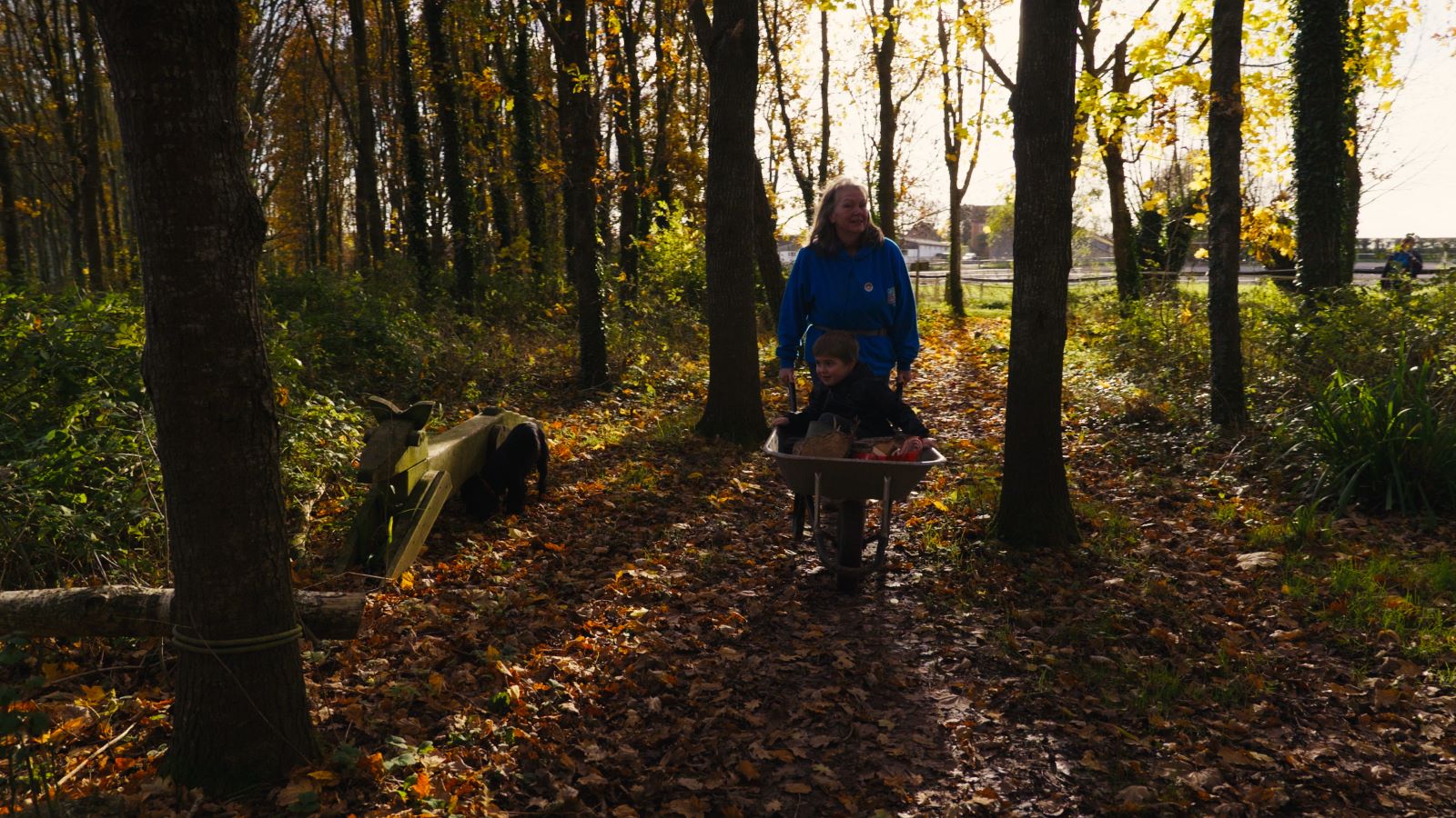 Conquest Centre Home