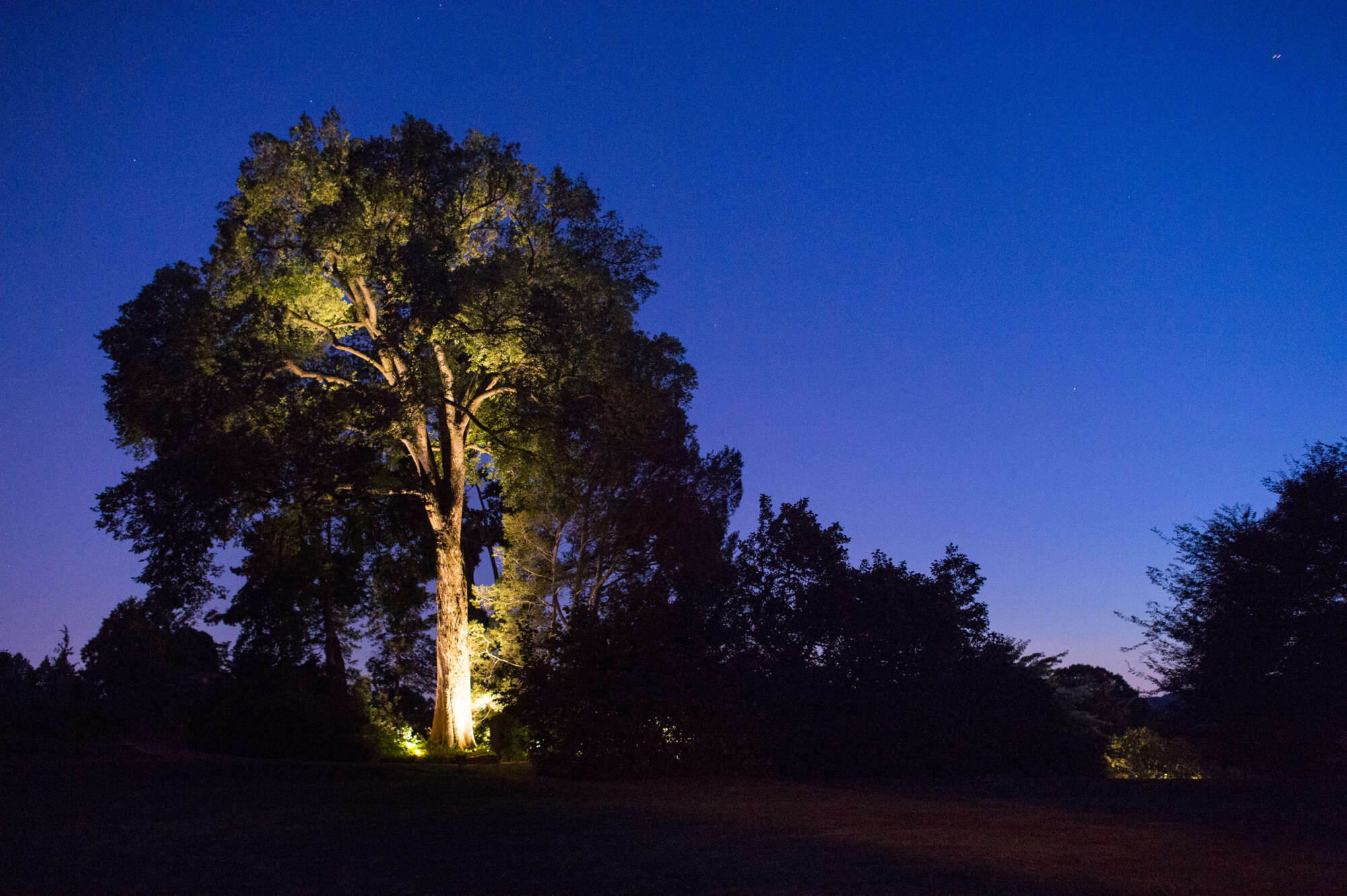 The Bronx Tourism Council | I Love The Bronx | Summer Nights, Starry Skies