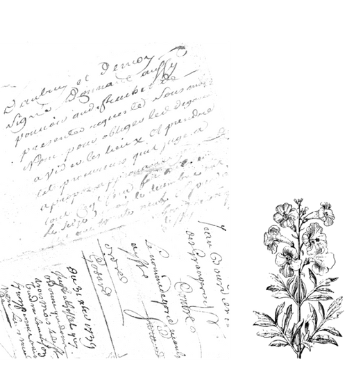 Amber Rae | Bestselling author & speaker