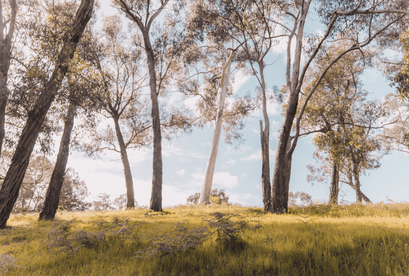 Worldwide Timber Traders | More Than Just Timber