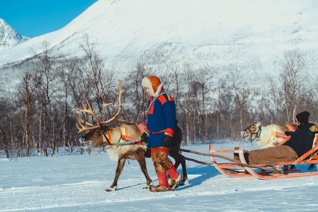 Explore Sami Culture in Tromsø | Heritage & Traditions