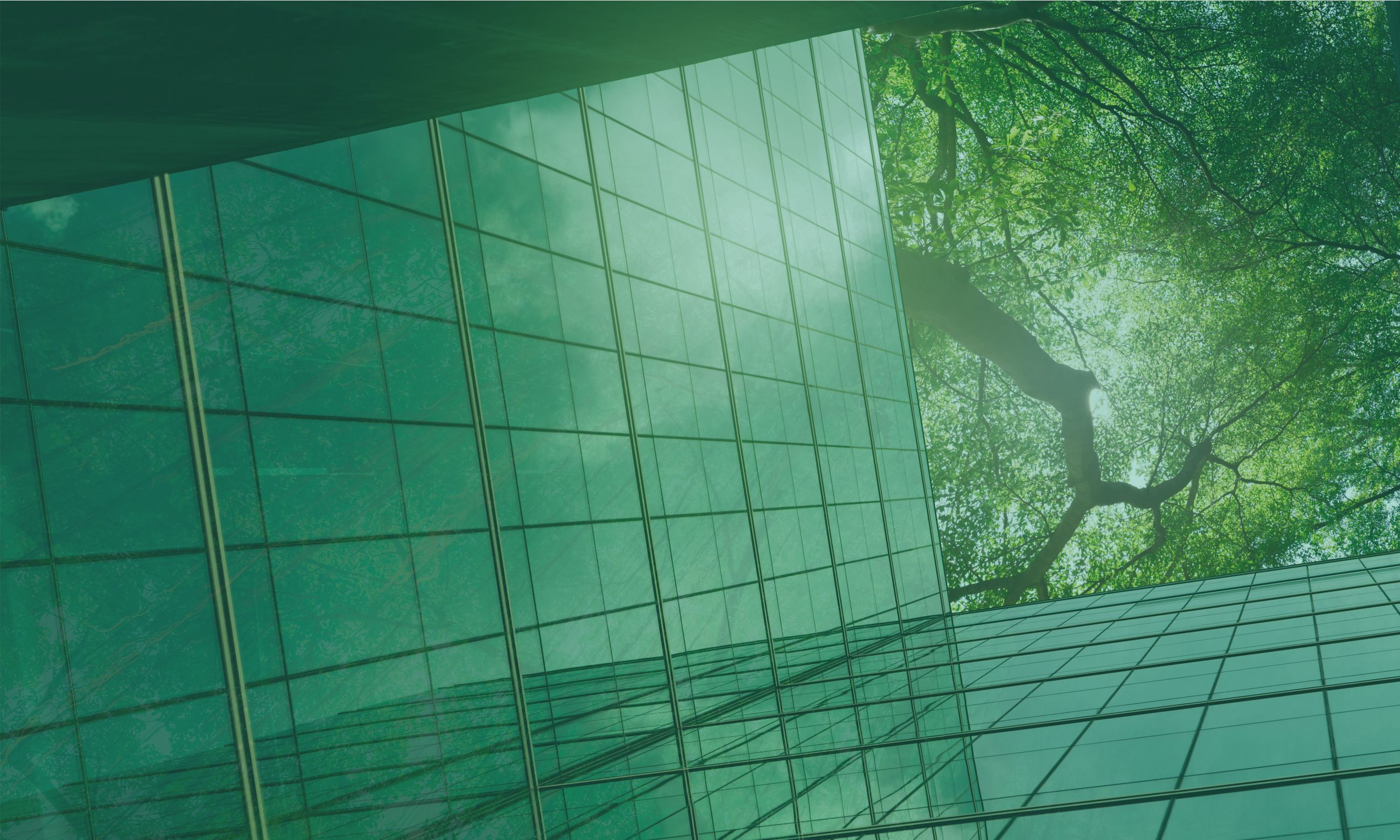 Cohesion | Smart Building Management