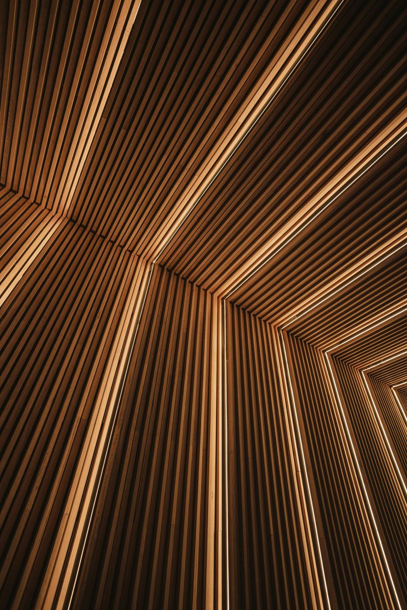 Understanding Different Types of Timber and Their Sustainable Uses ...