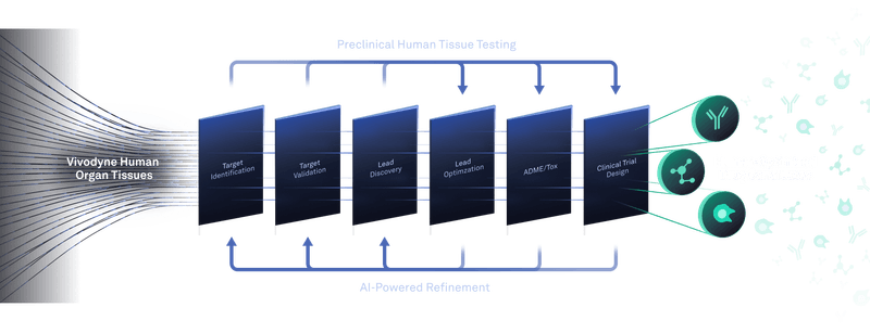 Vivodyne - Human Data Before The Clinic