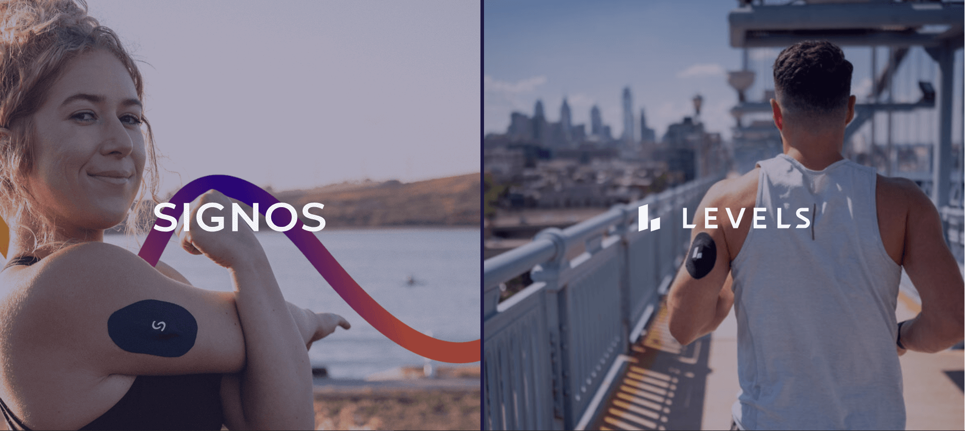 Signos vs Levels - Signos